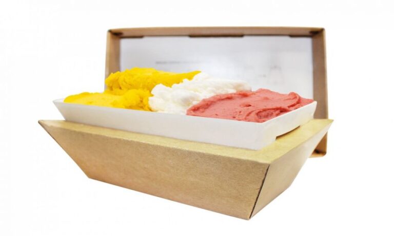 Envase térmico de PAPEL para helado PAPERGEL - Heladería